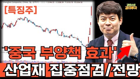 특징주 중국 경기 부양책 기대감으로 연일 증시 급등세 수혜주 점검산업재롯데케미칼현대제철 Youtube