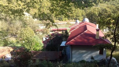 Ενα ορφανο γατακι