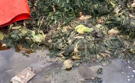 工人脚踩变质腌菜在现的背后，是当地政府的纵容 知乎