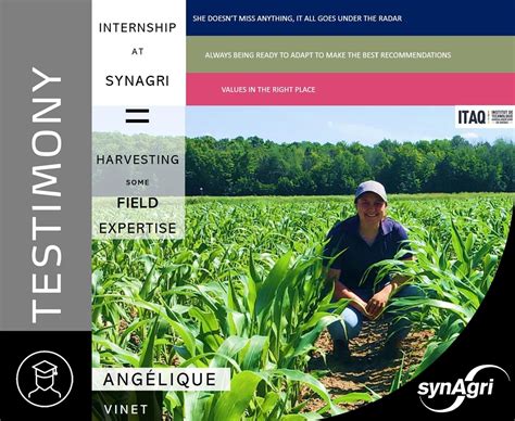 Dekalb Seed Guide Corn And Soybeans 2021 Synagri