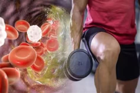 High Cholesterol Lowering Exercises