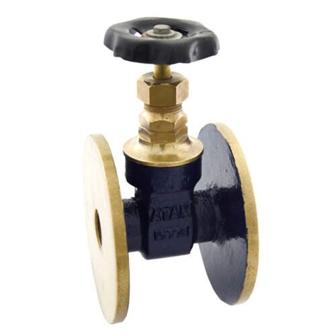 Golden And Blue Class 1 Flanged Ends Bronze Gate Valve At Best Price In