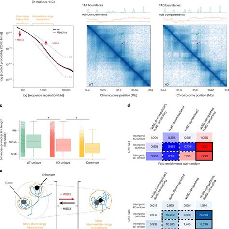 Live Cell Single Molecule Tracking Reveals That The Nurd Complex