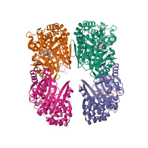 RCSB PDB Homepage