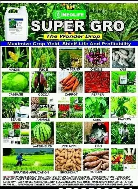 Organic Liquid Fertilizer Super Gro Acowas