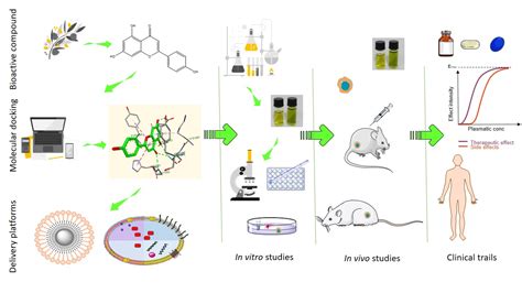 Plant Derived Anticancer Compounds As New Perspectives In Drug