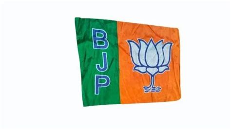 Orange And Green Polyester Bjp Flag At ₹ 46 Piece In Mathura Id