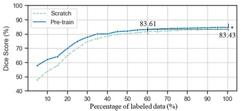 Data Efficient Performance On Btcv Test Dataset Significance Under