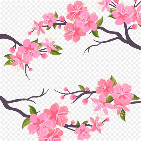 粉色杏花PNG下载PNG图片素材下载 图片编号qvmmaxlz 免抠素材网