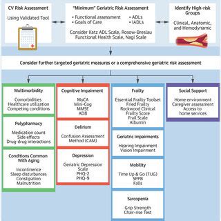 Risk Assessment In Older Adults Presenting For PCI This Figure Presents Download Scientific