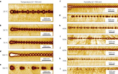 Evolution Of The Domain Patterns Ae Variable Temperature