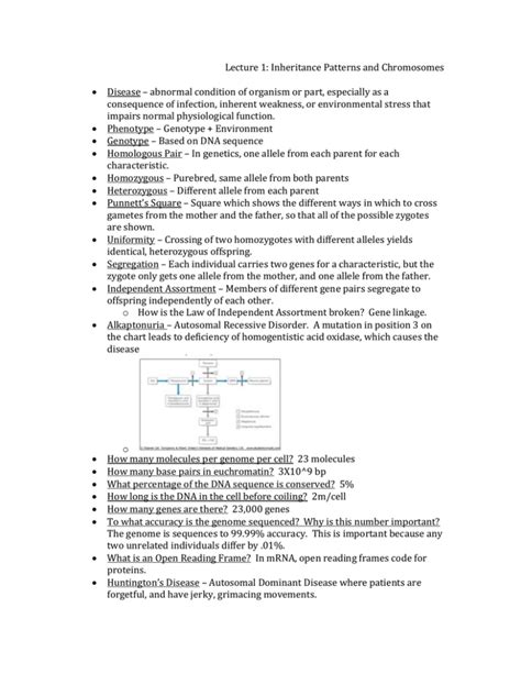 Mcb Lecture 1 Inheritance Patterns And
