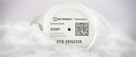 Teltonika Eye Sensor En12830 Getic
