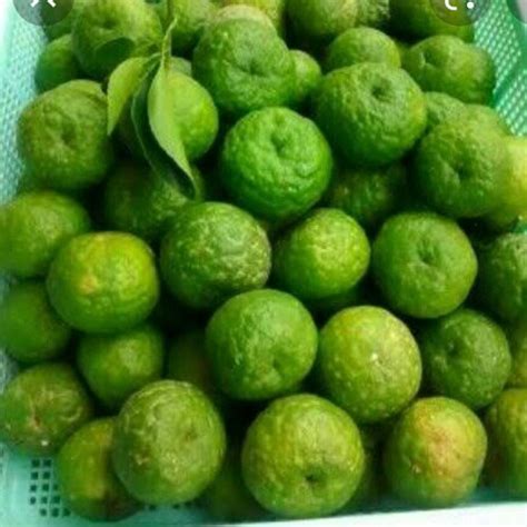 Jual Jeruk Limau Gram Gram Kota Bekasi Pasar Baru Pedia Tokopedia