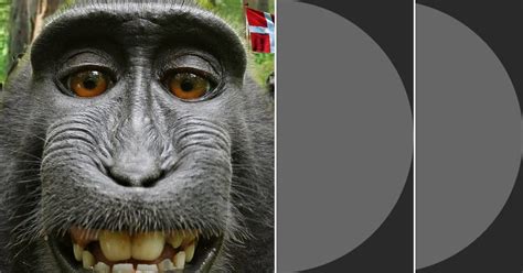 List Tableau Curated By Hafjash Usman Medium