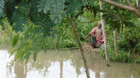 Bengali Fishing System Youtube