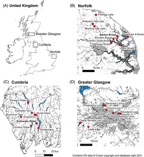 Will They Be Back A Framework To Guide Rare Macrophyte Conservation Decisions In Lakes