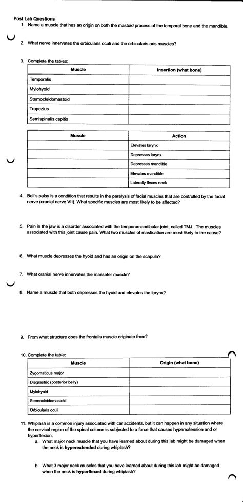 Solved Muscle Origin Insertion Movements Innervation Frontalis Course Hero