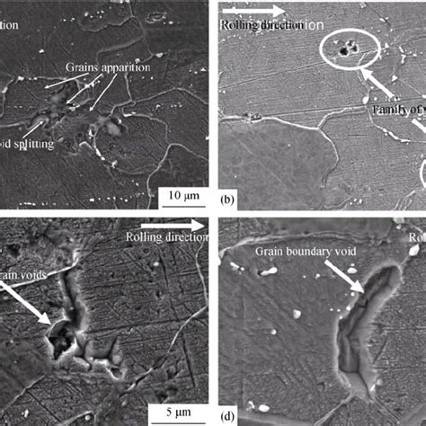 Microstructures Of The Cold Worked Samples Obtained By Sem The Rolling