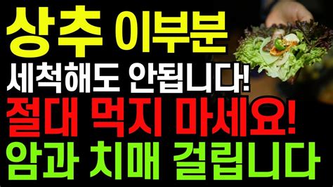 상추 이것과 절대 같이 먹지 마세요 노년기 건강한 삶을 위해 상추는 이렇게 드세요 침침한 눈 밝아지고 고혈압 당뇨 고지혈증 싹 사라집니다 특급 레시피와 세척