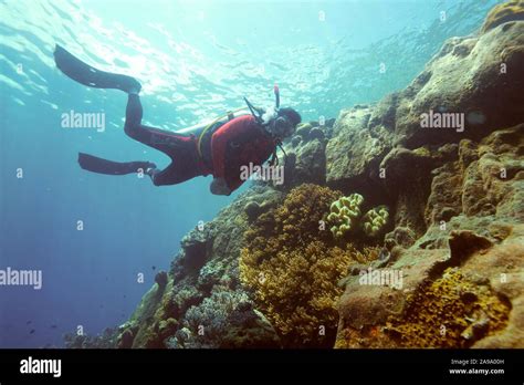 Malaysia Tenggol Island High Resolution Stock Photography And Images