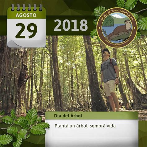 Parque Nacional Nahuel Huapi 29 De Agosto Día Del árbol