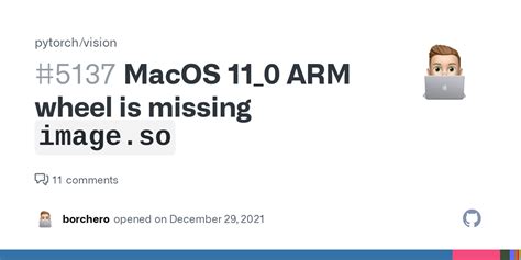 MacOS ARM Wheel Is Missing Image So Issue Pytorch Vision GitHub