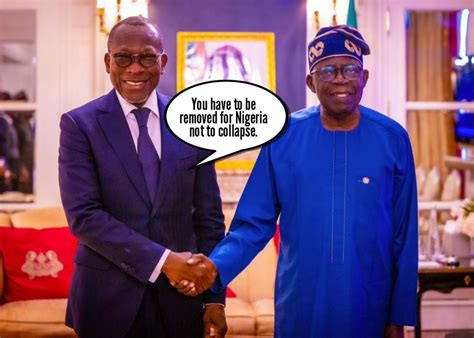Fuel Subsidy Was Removed For Nigeria Not To Collapse Tinubu Naijiant