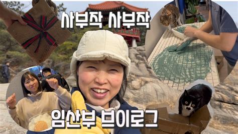 임산부 Vlog 임신해도 멈출 수 없는 사부작 Youtube