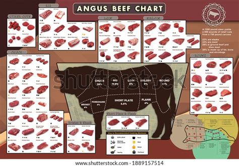 Angus Beef Cutting Guide Chart 库存插图 1889157514 Shutterstock