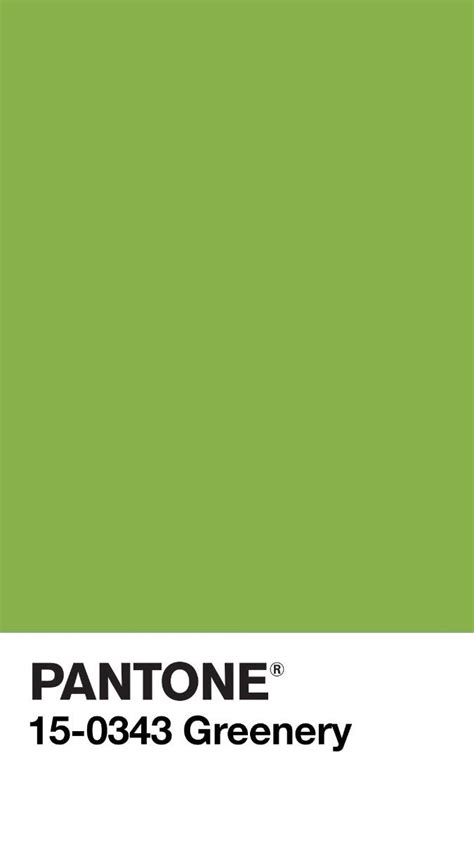 Pantone 2017 年度代表色 绿色 15 0343 Pantone Color Of The Year 2017