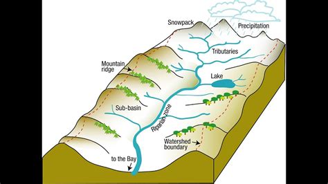 watershed segmentation computer vision dip شرح عربي youtube