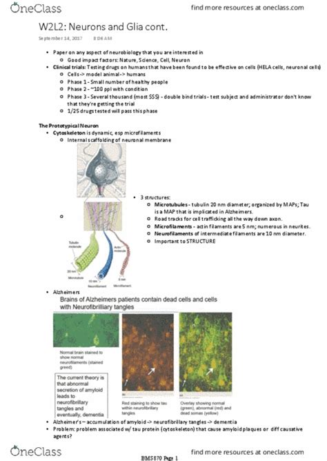 Bms 870 Lecture Notes Fall 2017 Lecture 2 Amyloid Neurofibrillary