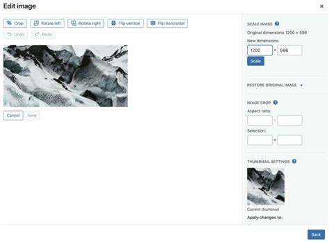 How To Create The Perfect Wordpress Featured Image Sizing And Design