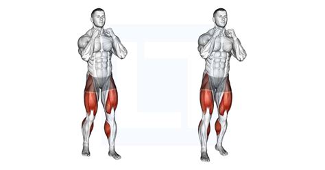Boxer Shuffle Guide Benefits And Form