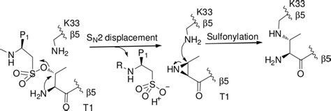 A Structure Of An Abpp Probe Containing Acore Unit Green Alinker