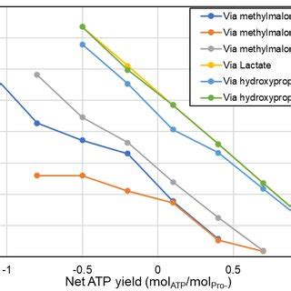 Representation Of The Six Pathways Selected For Propionate Oxidation