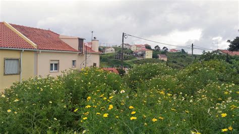 Lote Loures Santa Iria De Azóia Venda Ref 283160163