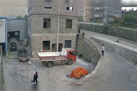 野猪突然闯入居民家中，从2楼玻璃窗跳下，竟毫发无伤！