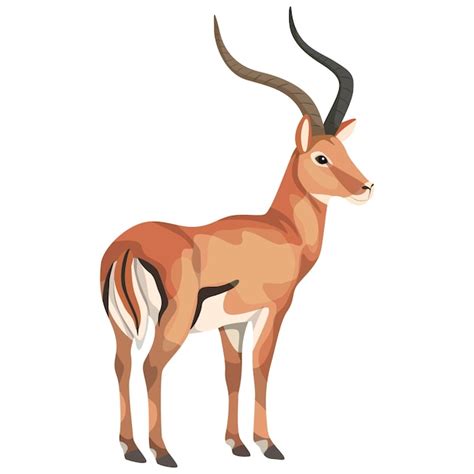 Premium Vector Coloful Deer Vector