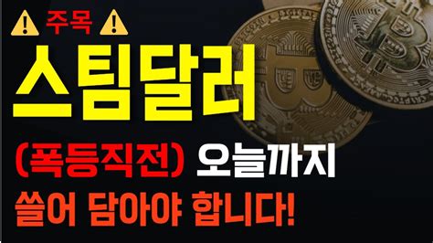 스팀달러 폭등직전 오늘까지 쓸어 담아야 합니다 스팀달러 스팀달러코인 스팀달러코인차트분석 스팀달러목표가 스팀달러