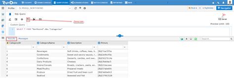 Re Usable Rdbms Custom Sql Query Using Mssql Rightdata