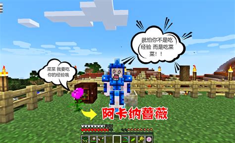 我的世界植物魔法26：蕴含丰富魔力的黑莲花为啥到我手里不管用 知乎