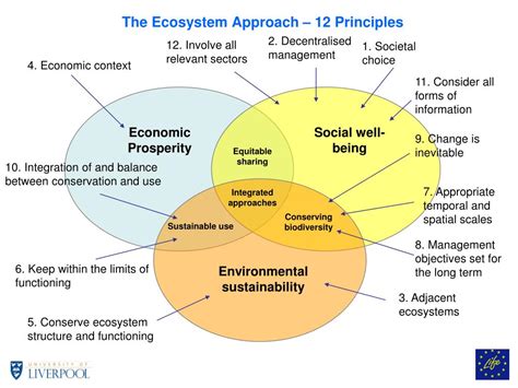 Ecosystem Based Management Integrated Ecosystem Asses