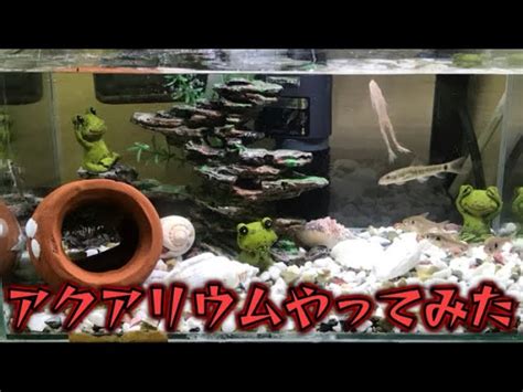 Aqualife
