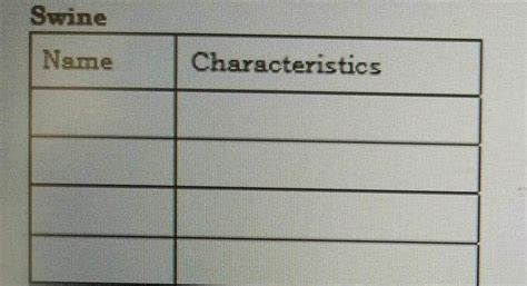 Swine Name Characteristics StudyX