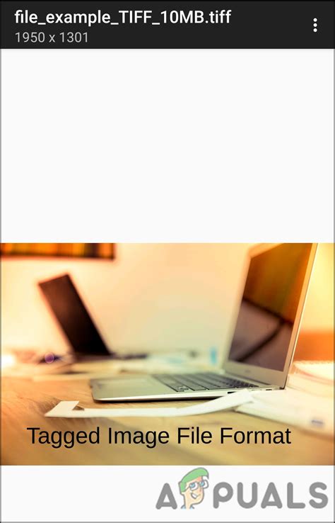 What Is A Tiff File And How To Open It