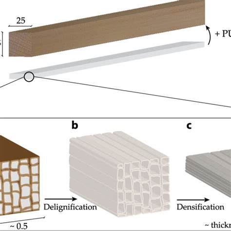 Schematic Of Densified Delignified Wood Manufacturing A To B