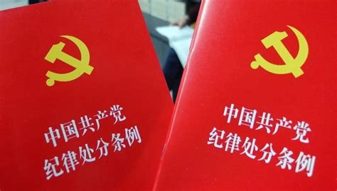 我市纪检监察干部深学热议新修订的《中国共产党纪律处分条例》政治