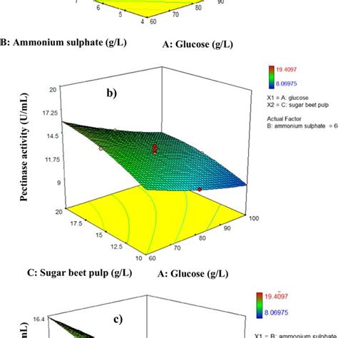 Phylogenetic Tree Of The P Indica And Closely Related Proteins Created Download Scientific